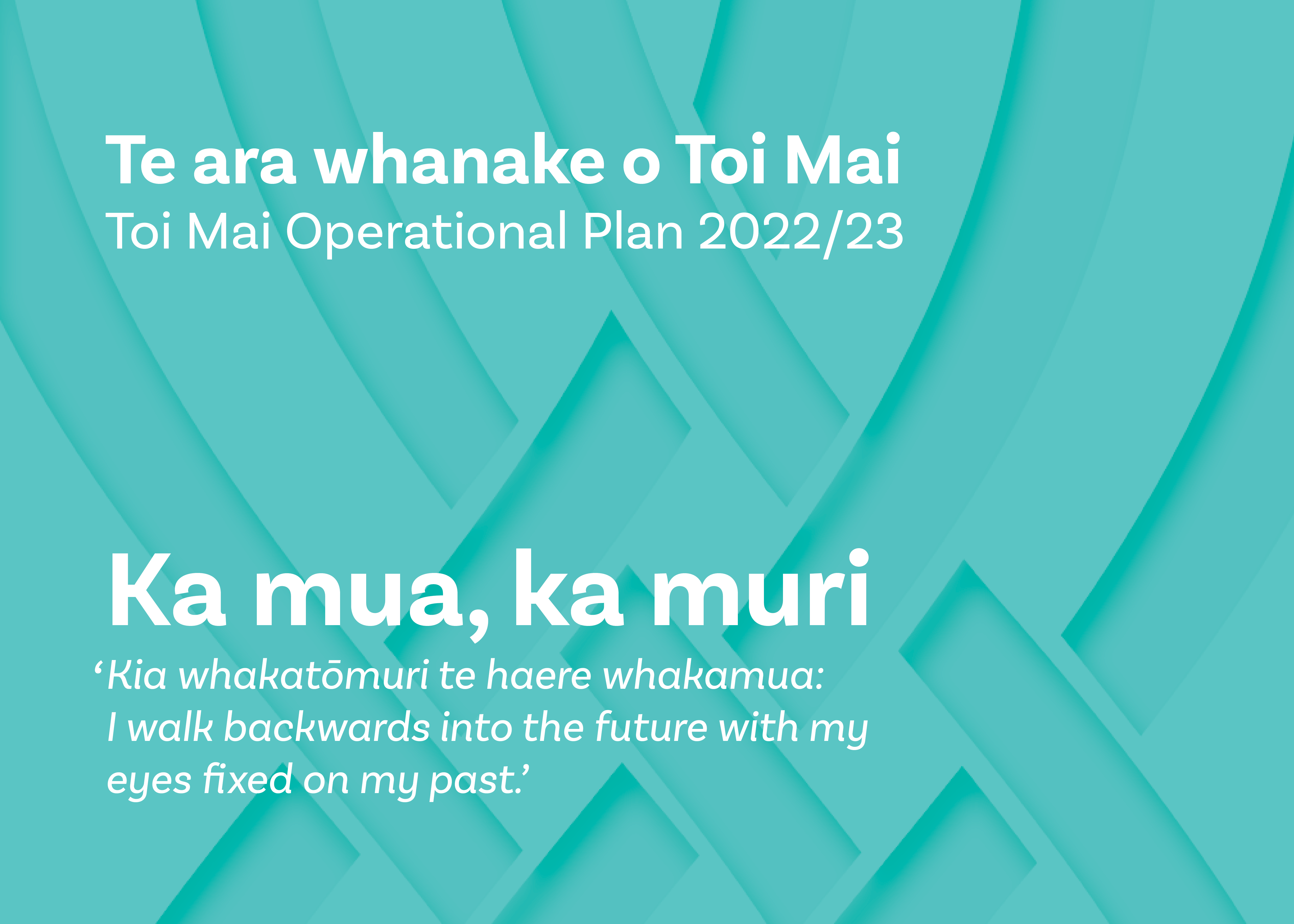 Te ara whanake o Toi Mai - Toi Mai