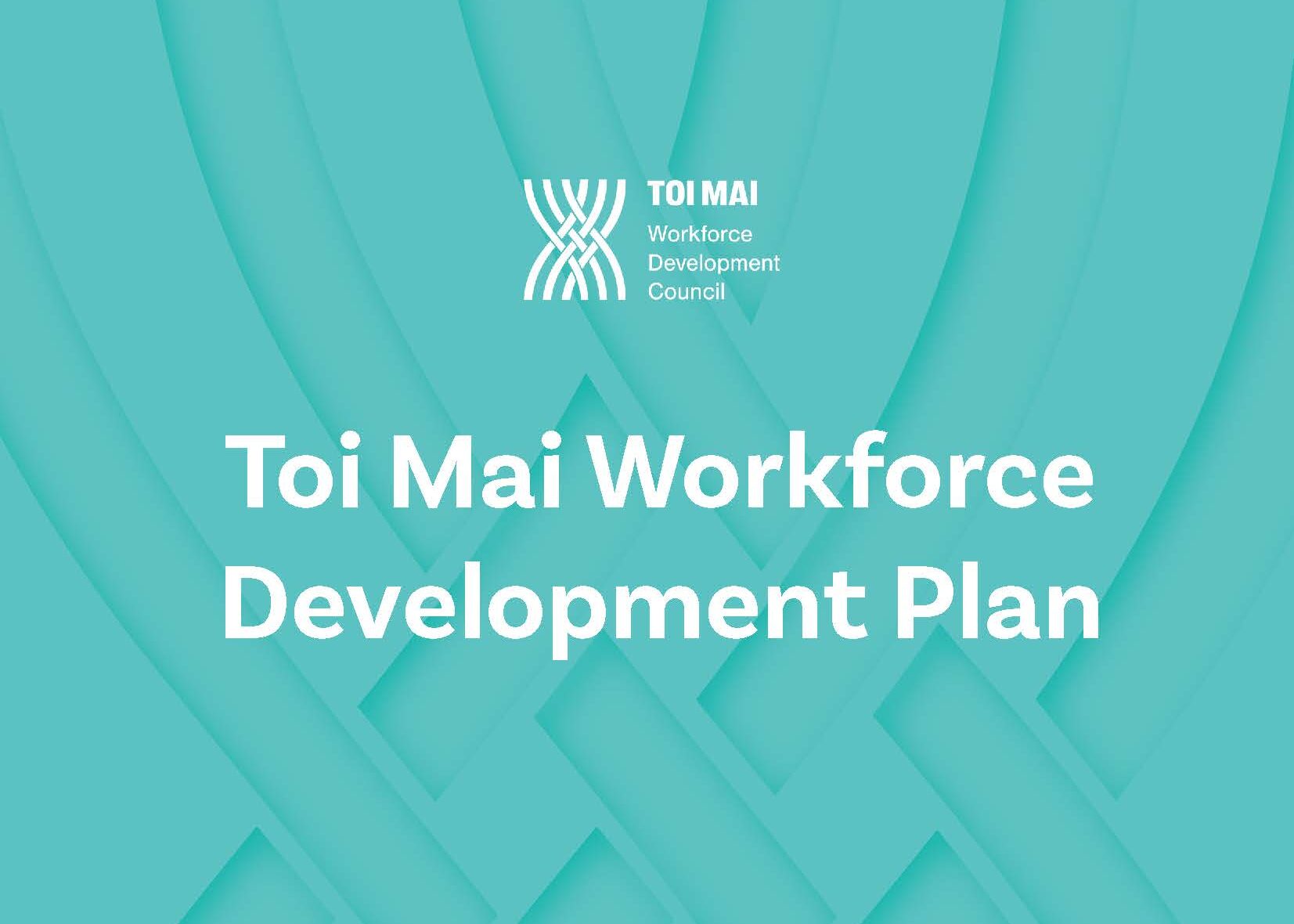 Te rautaki whakawhanake o Toi Mai - Toi Mai
